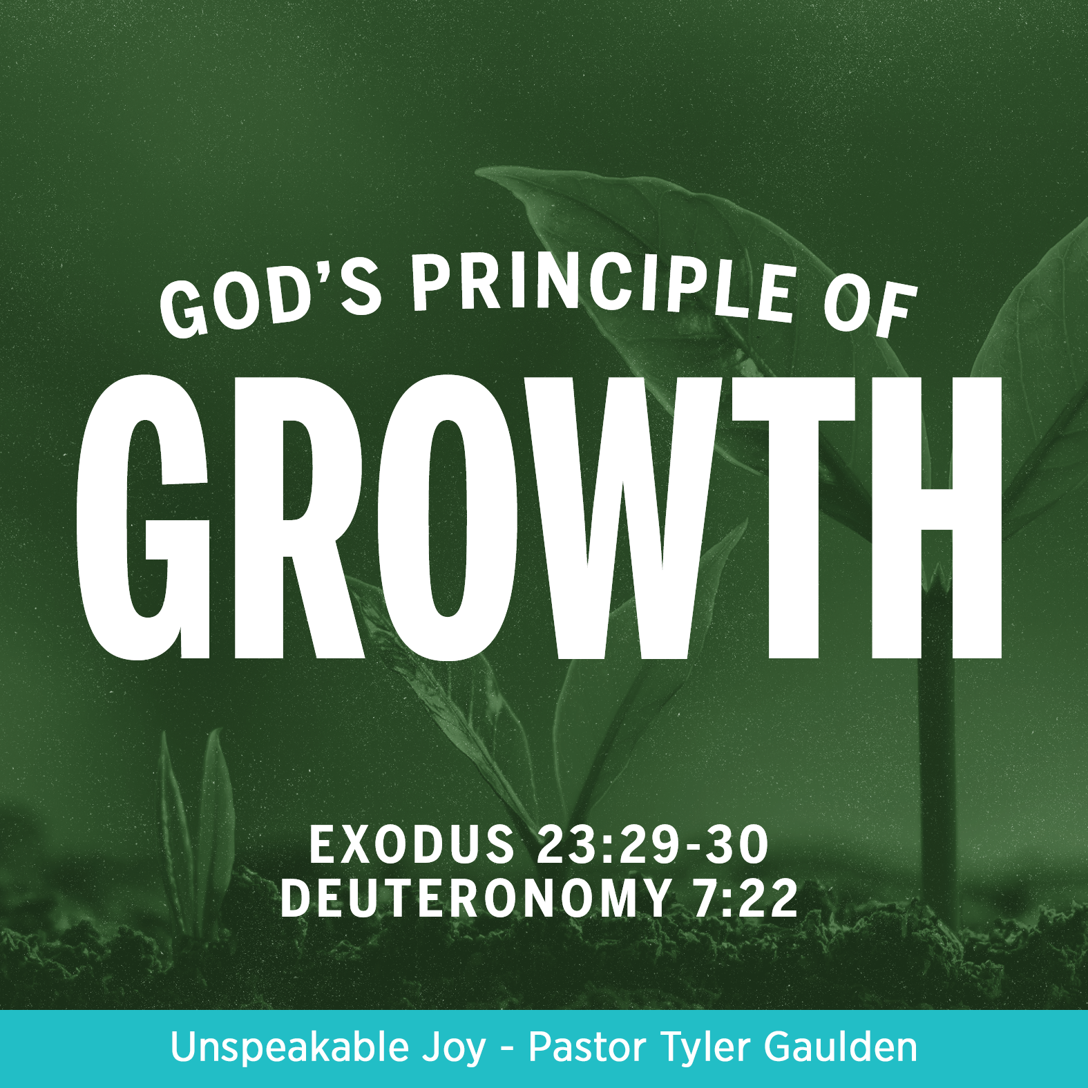 God's Principle of Growth | Tyler Gaulden Evangelistic Ministry